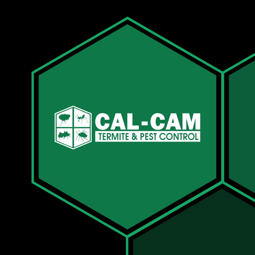 Home | Cal-Cam Termite & Pest Control