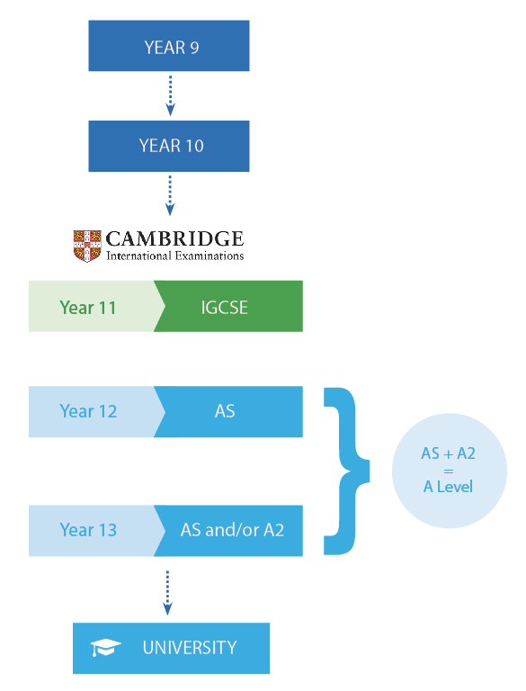 How Cambridge (CAIE) works for students in New Zealand