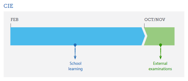 How Cambridge (CAIE) works for students in New Zealand