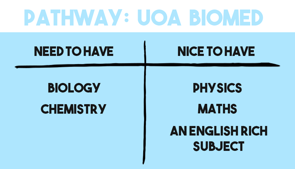A Guide To Studying Medicine In NZ