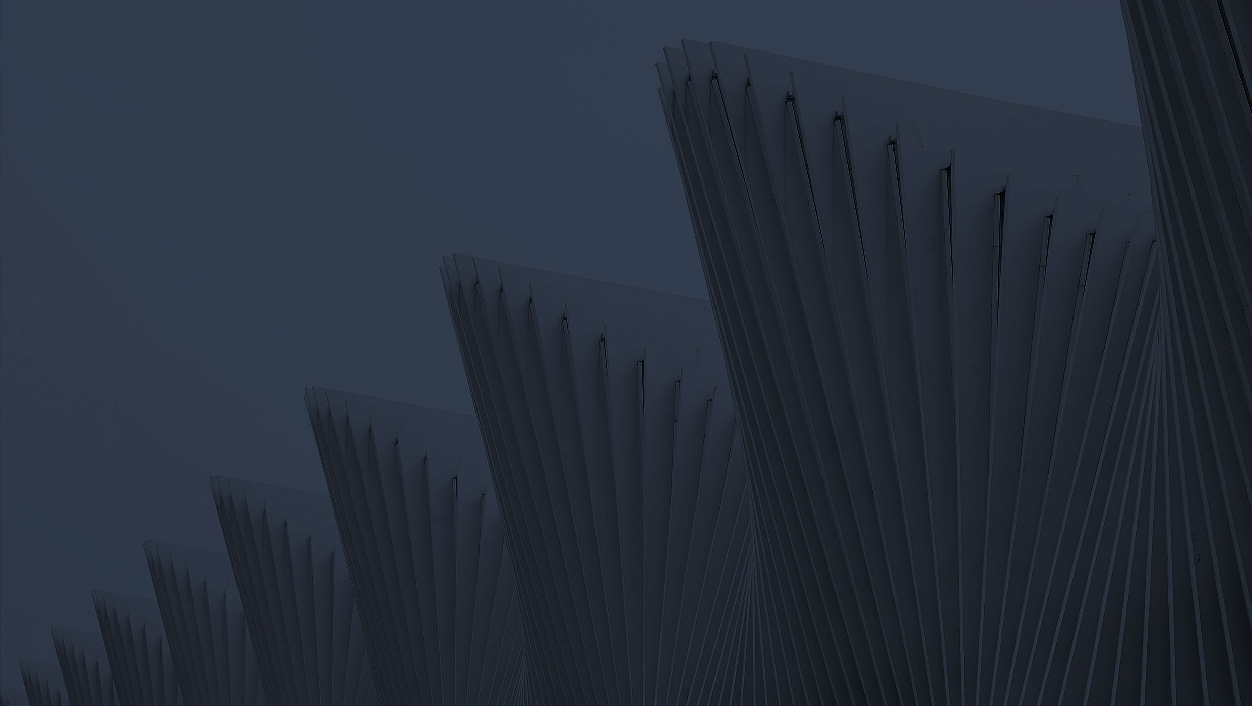 Sahil Bloom — Investor | Entrepreneur | Creator