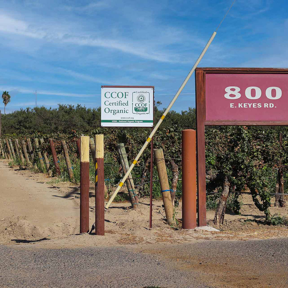 Shaw Winery | About Us