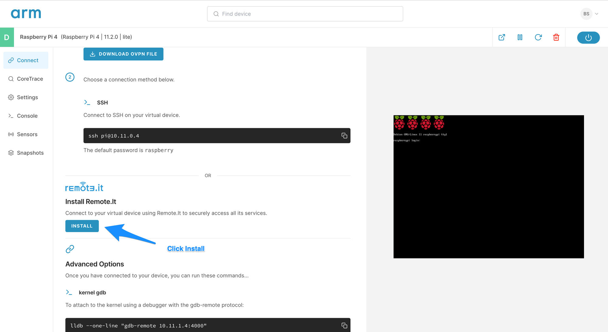 ARM Virtual Hardware