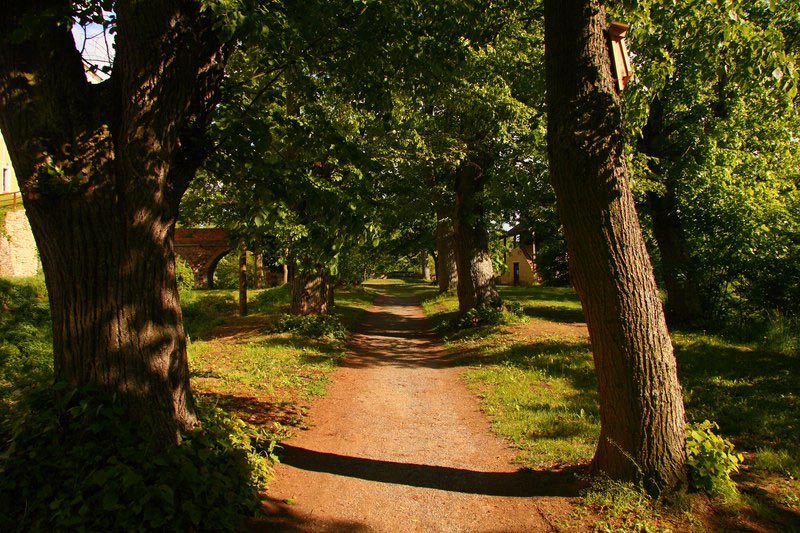 Sommerfrische wie damals | Schloss Drosendorf