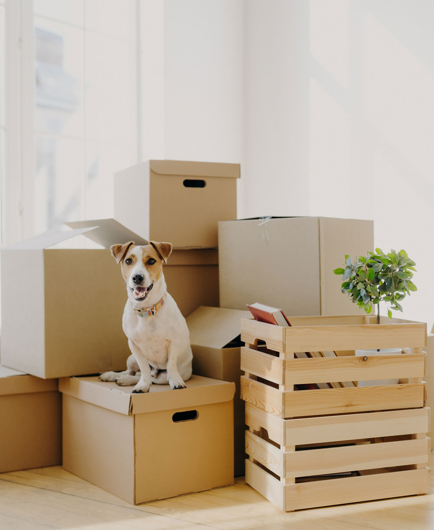 didimora - Cerchiamo case da riempire di nuova vita