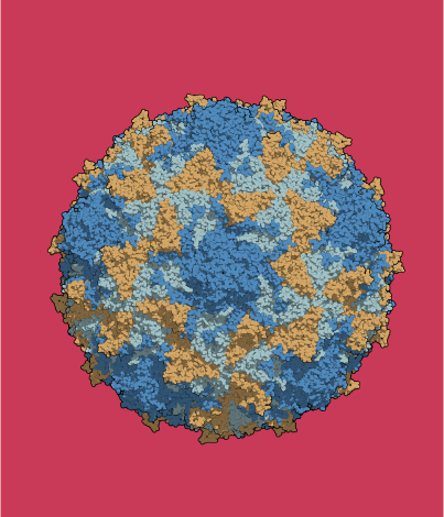 What is polio?