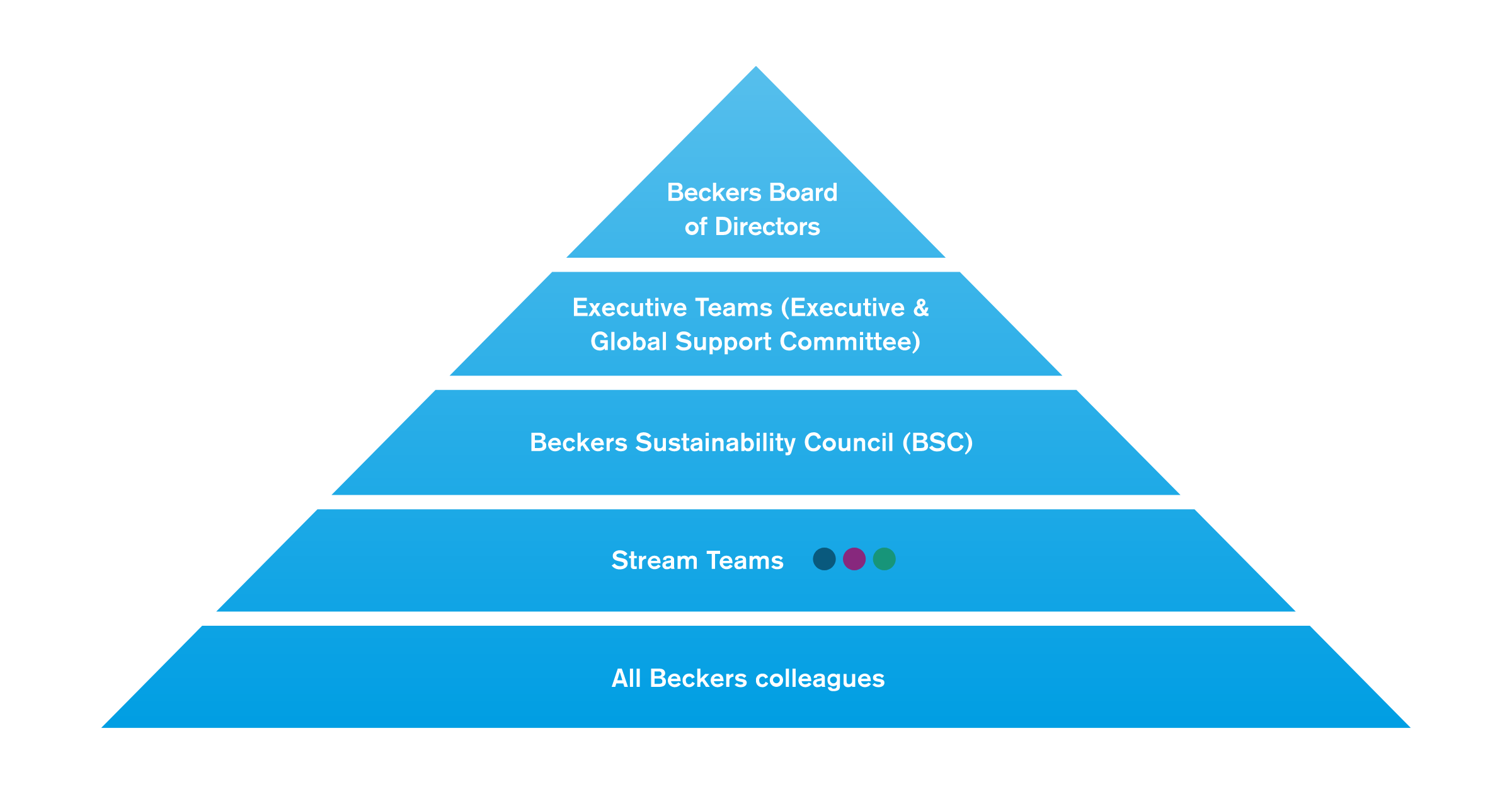 Sustainability governance structure