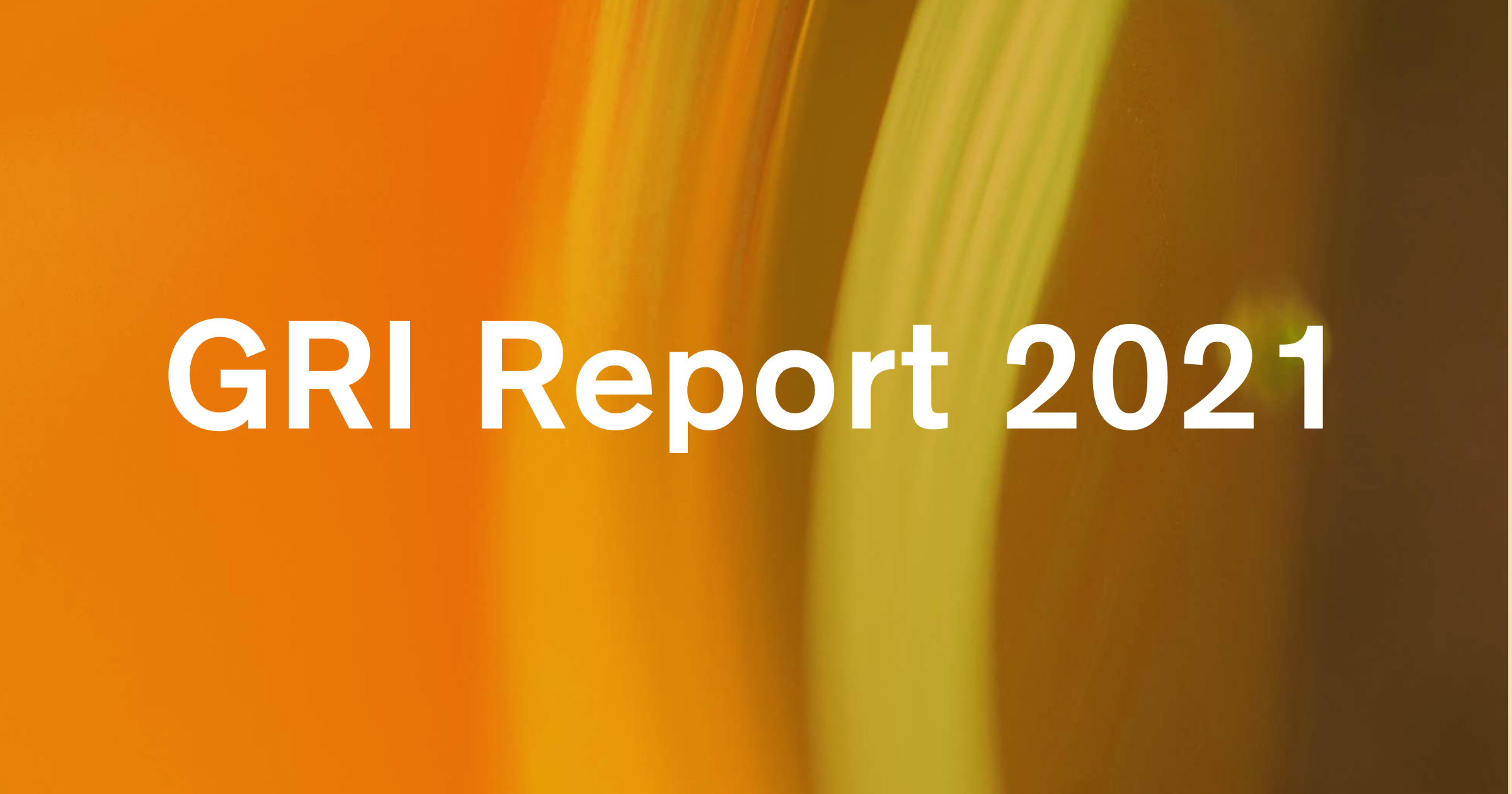 GRI Report 2021