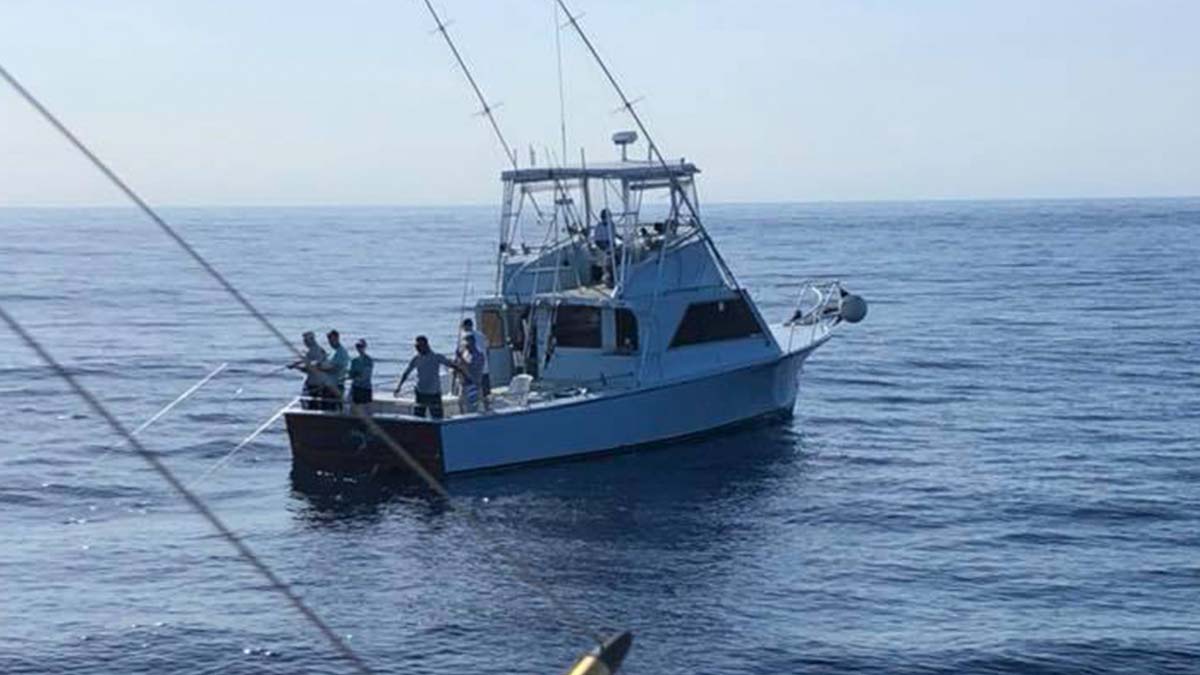 Book an offshore fishing trip