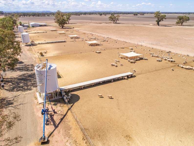 Feedtech Feeding Systems | Auto Feeders Gallery