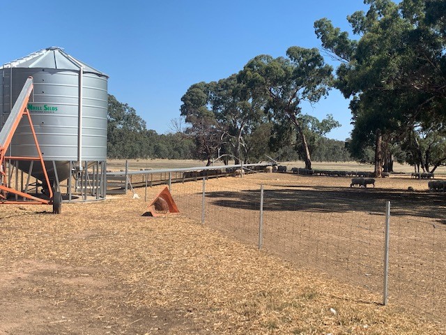 Feedtech Feeding Systems | Auto Feeders Gallery