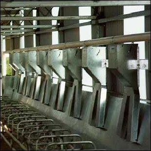 Feedtech Feeding Systems | Herringbone Feed System Gallery