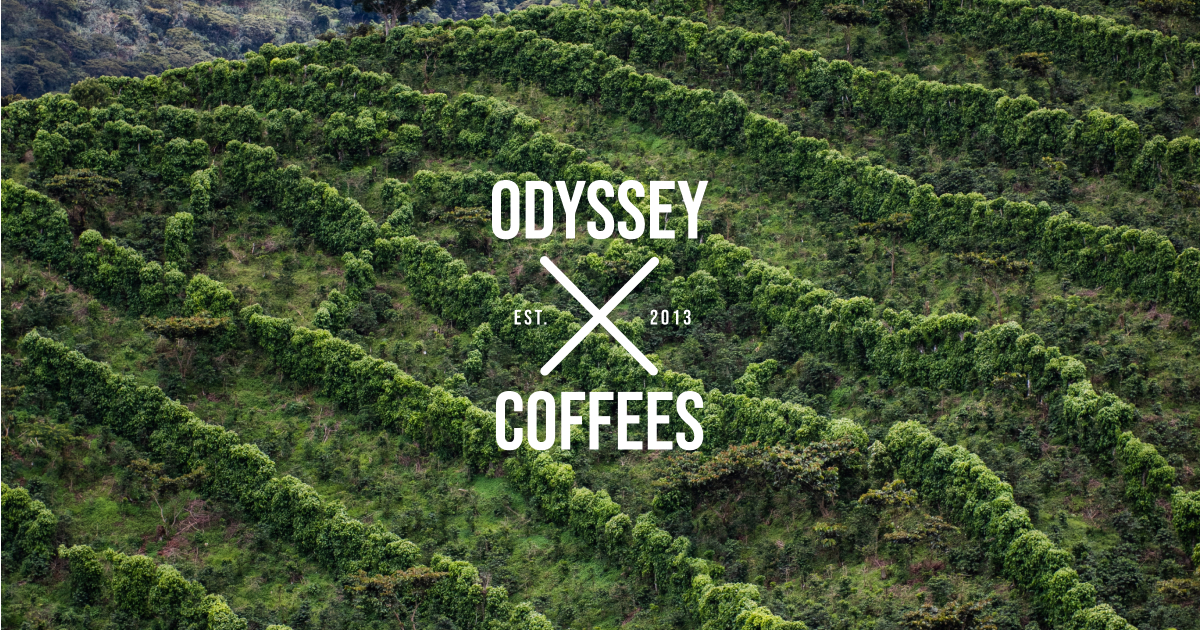 Odyssey Coffees Specialty Coffee Producers In El Salvador