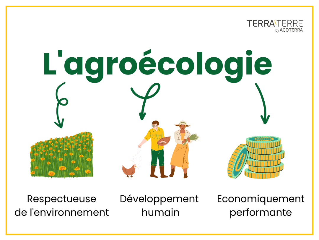 Cultiver un avenir durable : les bienfaits de l'agroécologie