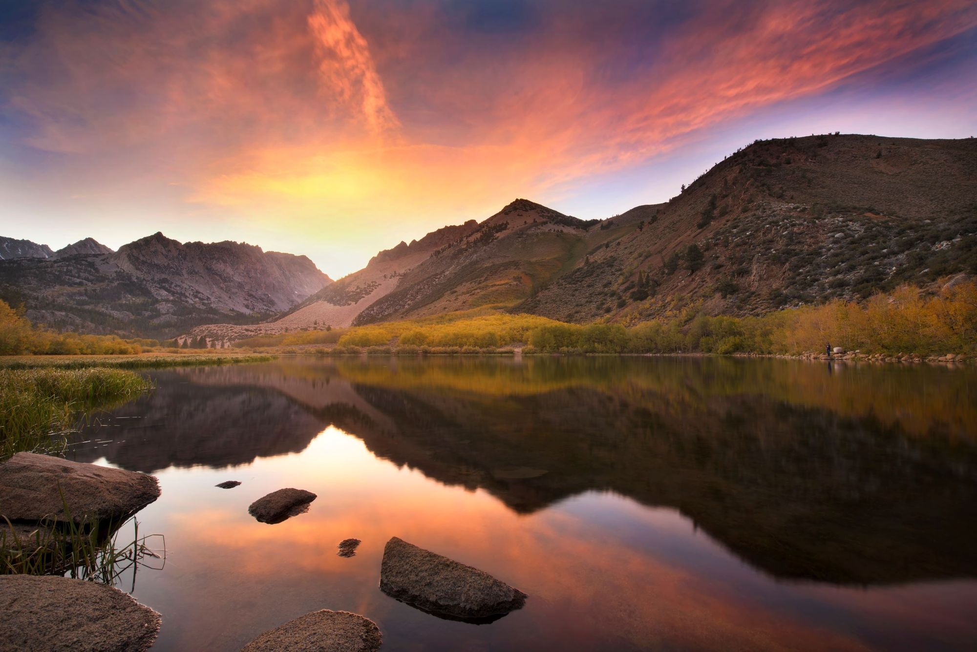 Elevate - Elite Performance Coaching