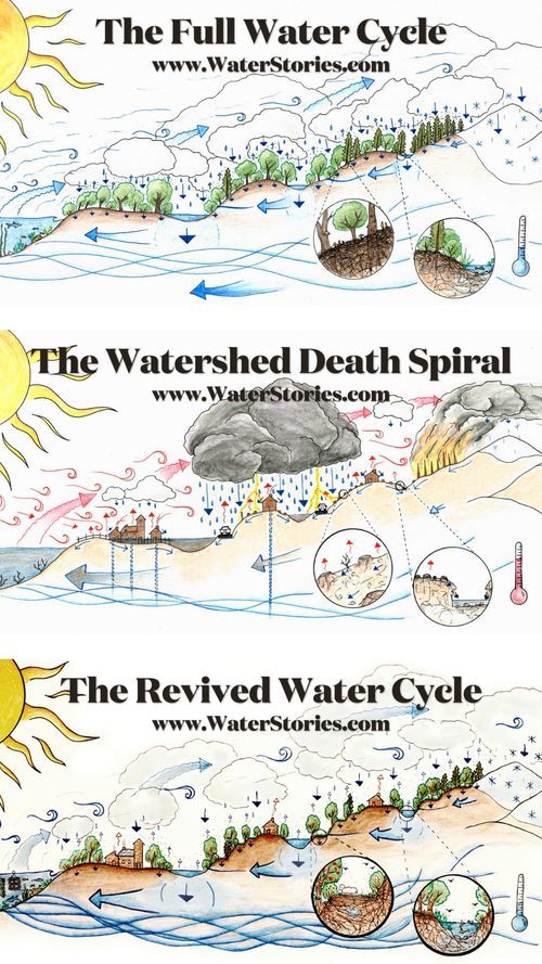 Water Stories Homepage