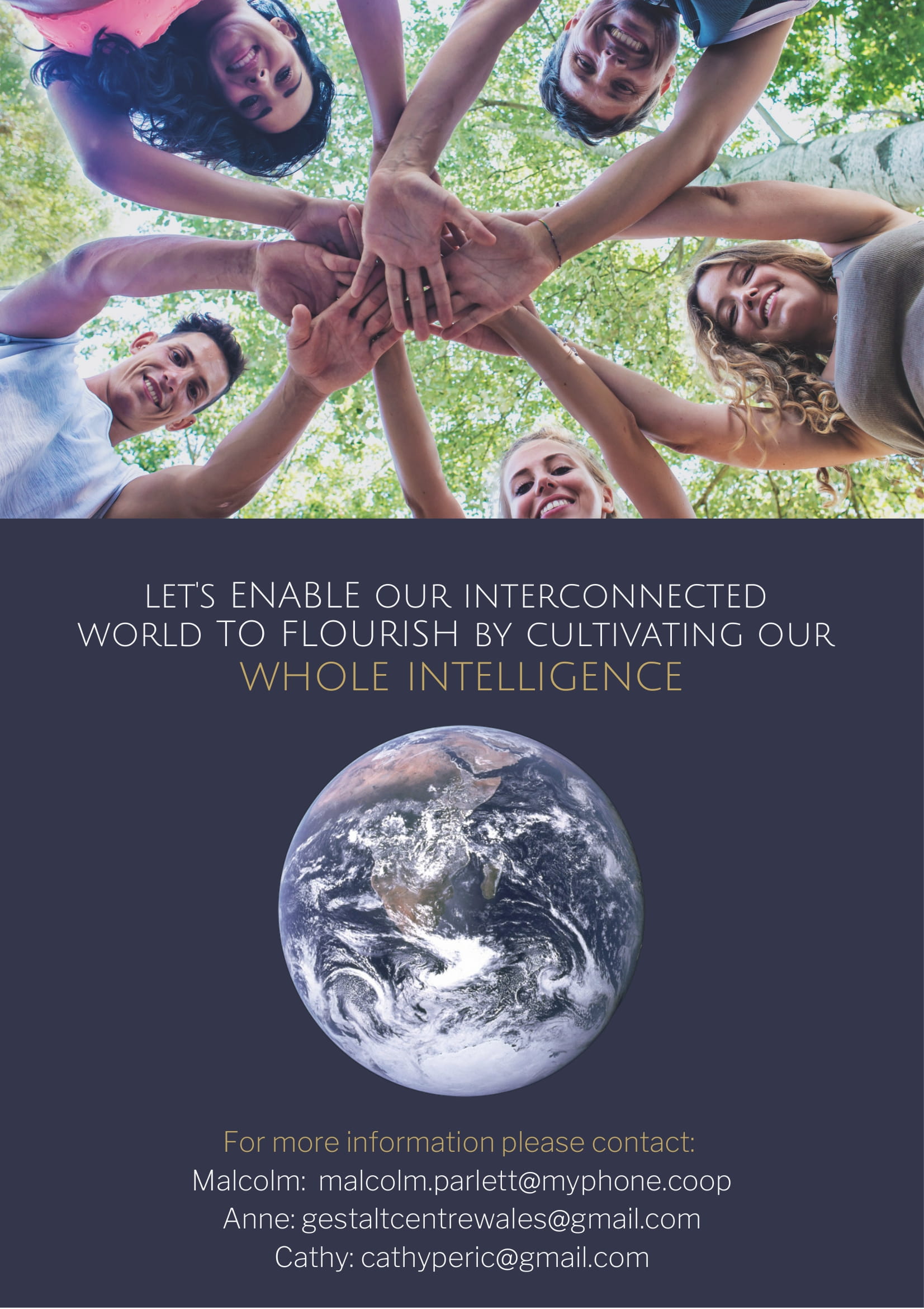 Whole Intelligence by Malcolm Parlett