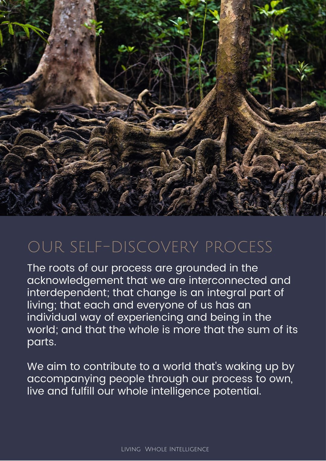 Whole Intelligence by Malcolm Parlett