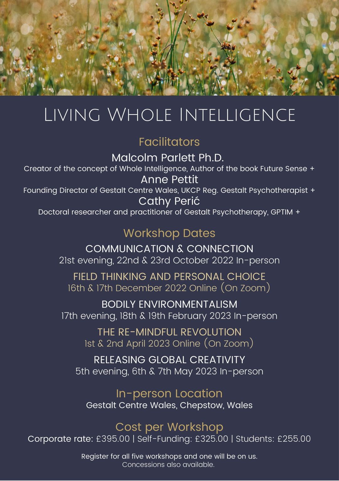 Whole Intelligence by Malcolm Parlett