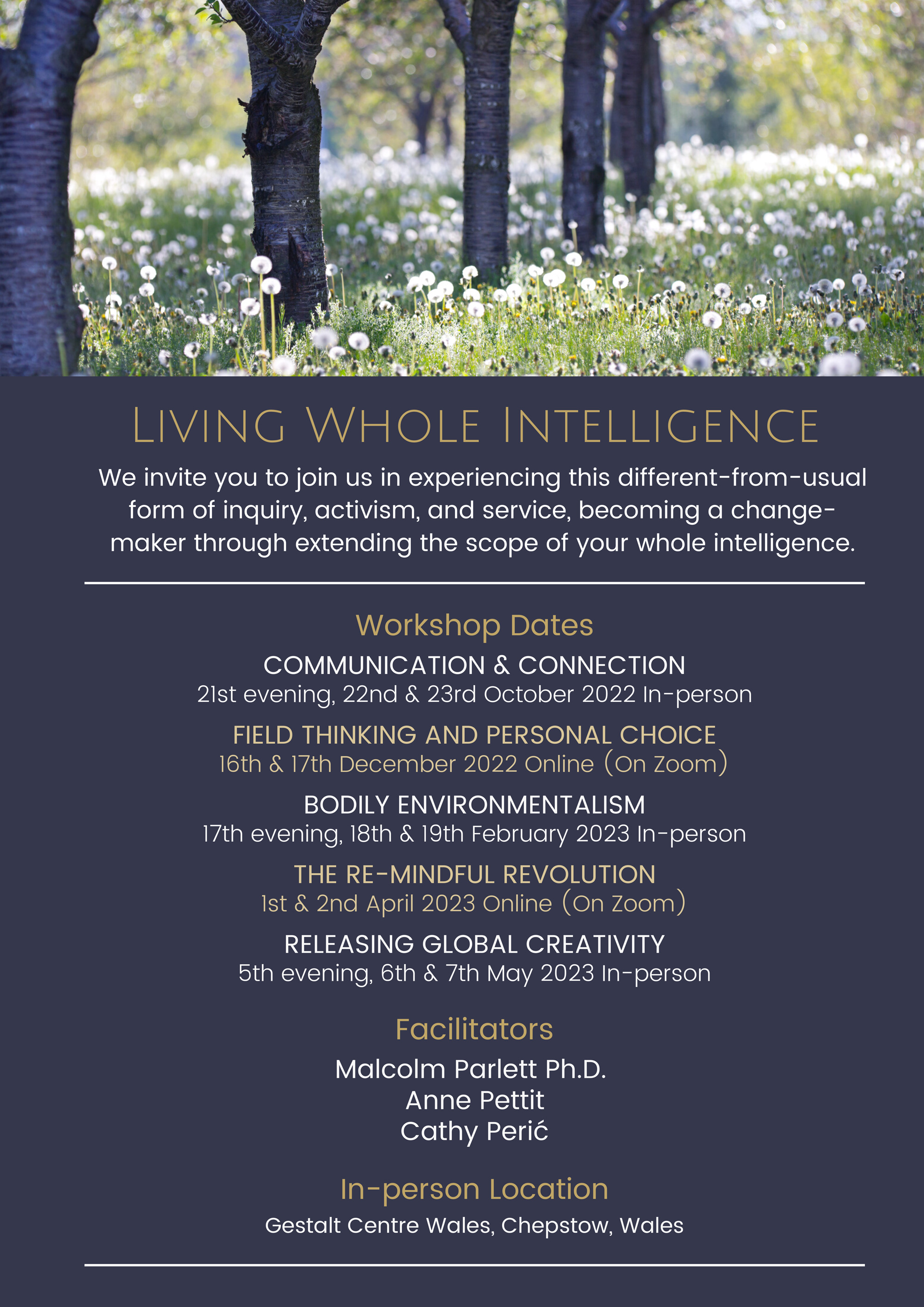 Whole Intelligence by Malcolm Parlett