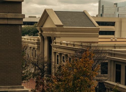New Ivies: Everything You Need to Know (2022)
