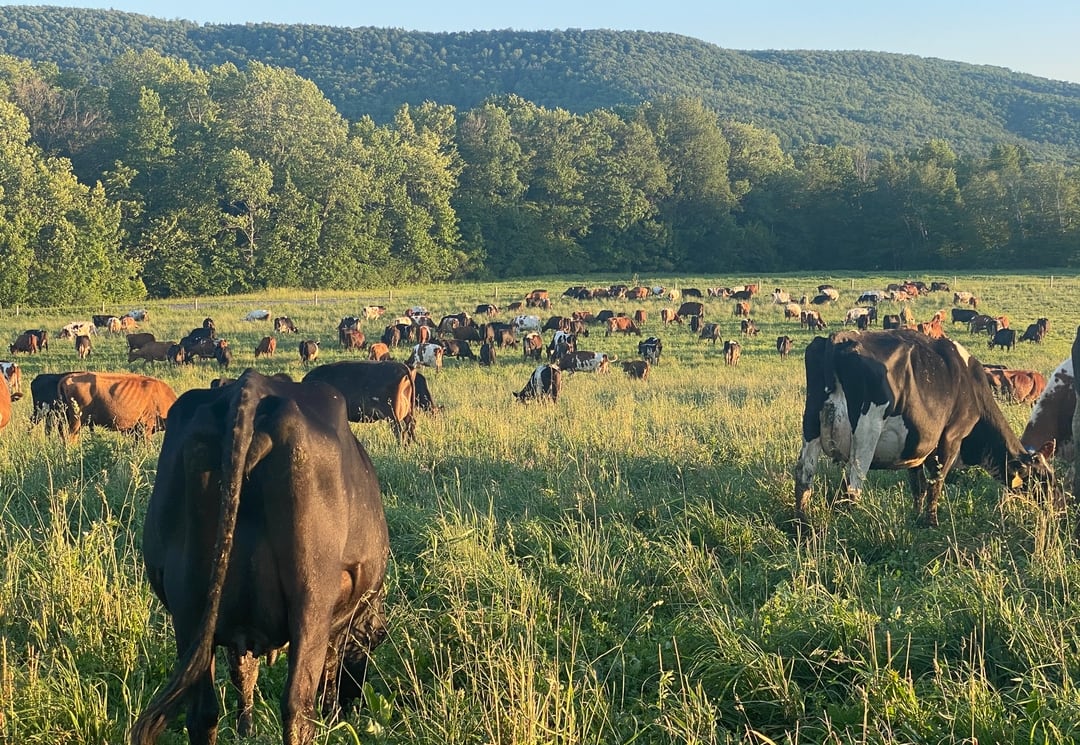 Walden Mutual Bank Blog - Web Log | Walden Mutual Bank