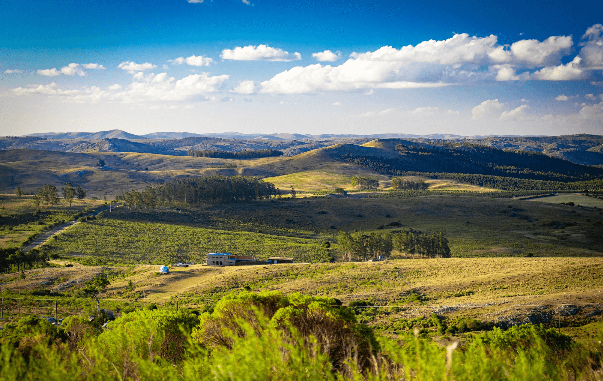 How I became a Shopify developer: Wil Bunge | Storetasker Blog