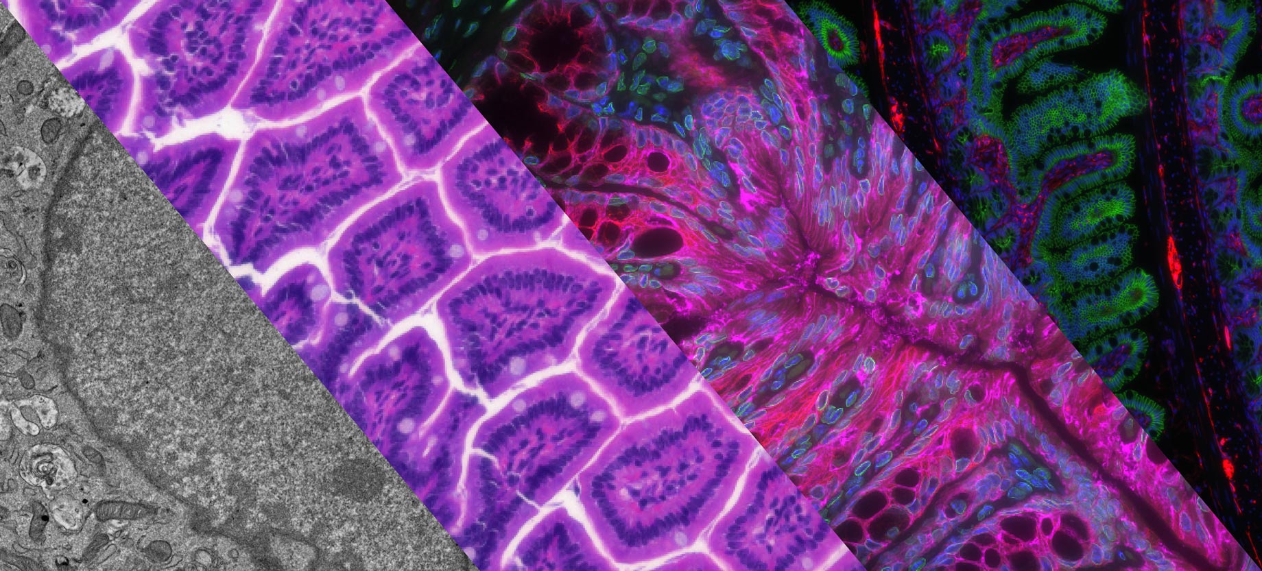 Research at Uttam Lab