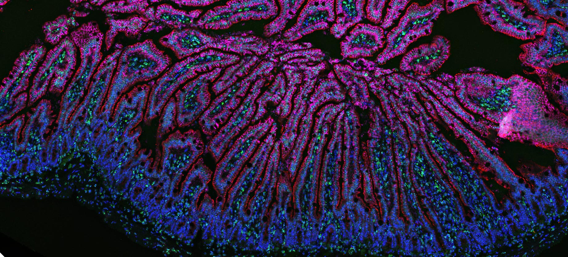 The Latest News from Uttam Lab