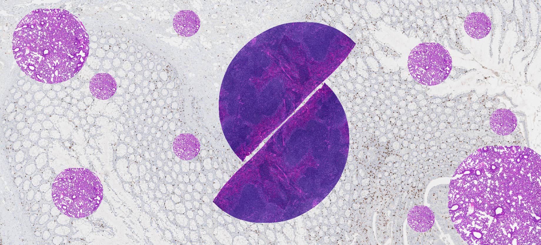 Research at Uttam Lab