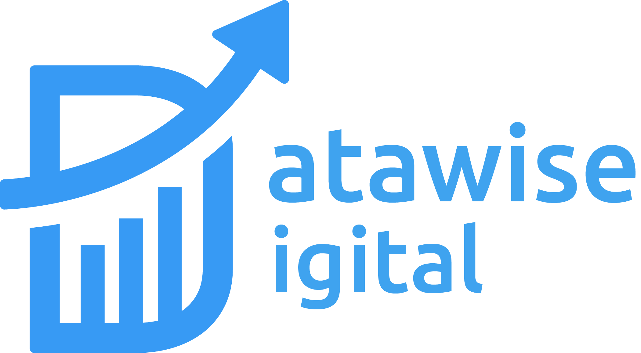 Datawise Digital - Data driven digital strategy