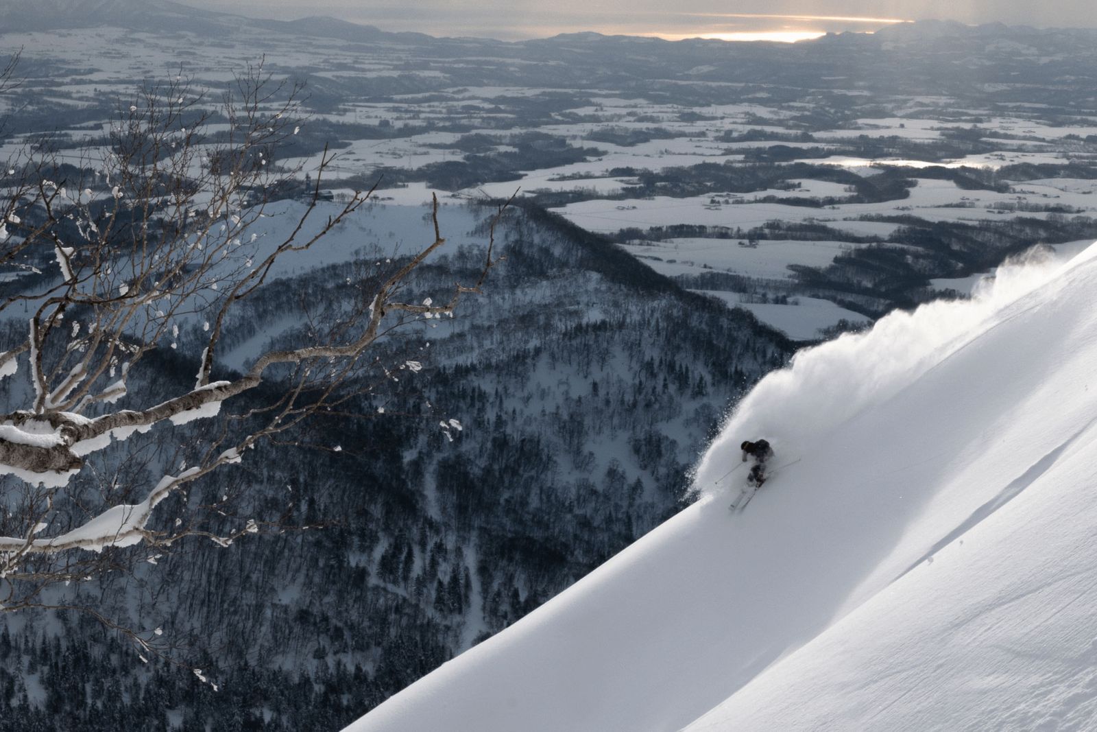 Latest News Blog From EA Ski & Snowboard Training