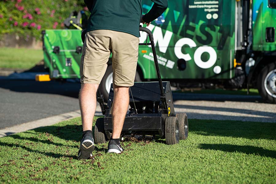 Lawn renovations bringing new life to lacklustre lawns