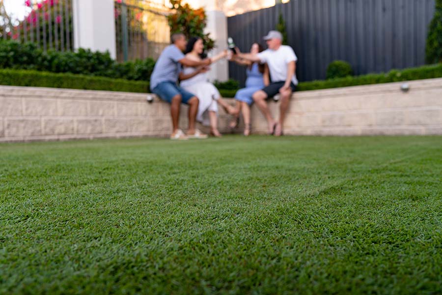 Lawn renovations bringing new life to lacklustre lawns