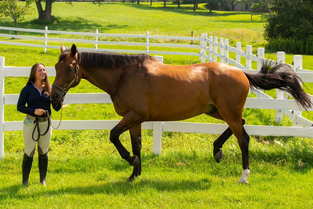 Services - Silverstone Stables & Farms