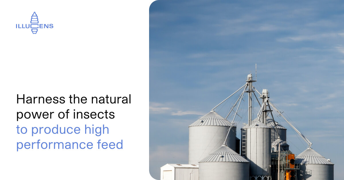 Harness the natural power of insects