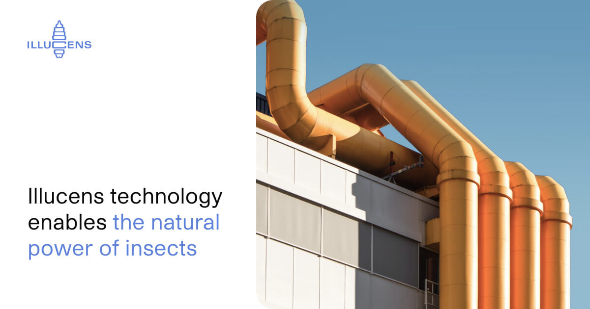 Illucens technology enables the natural power of insects