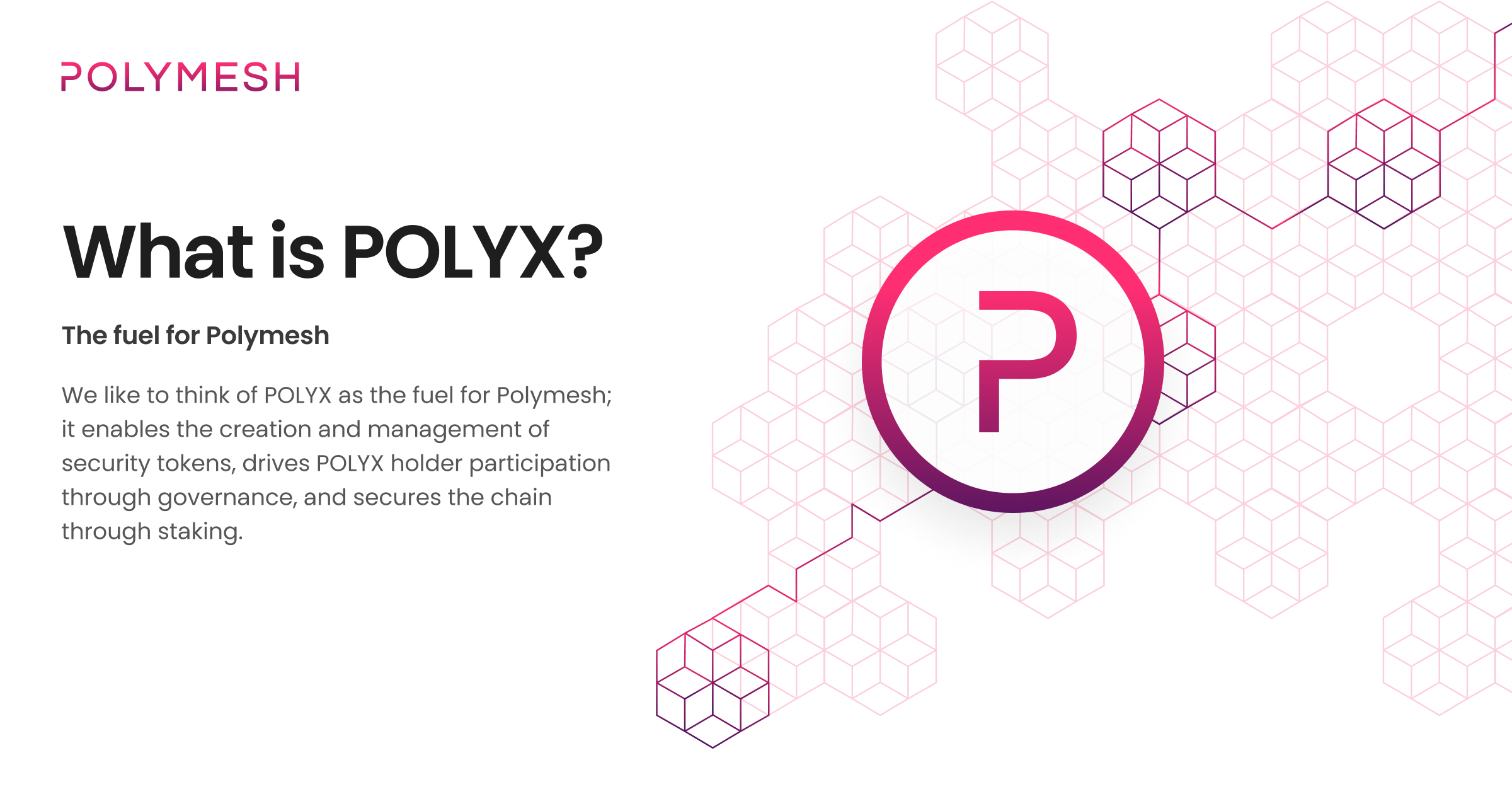 POLYX | POLYX Token | Polymesh