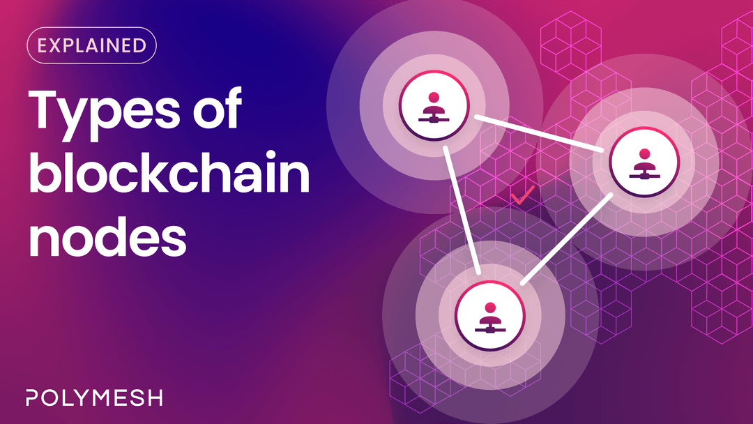 Types of blockchain nodes, explained