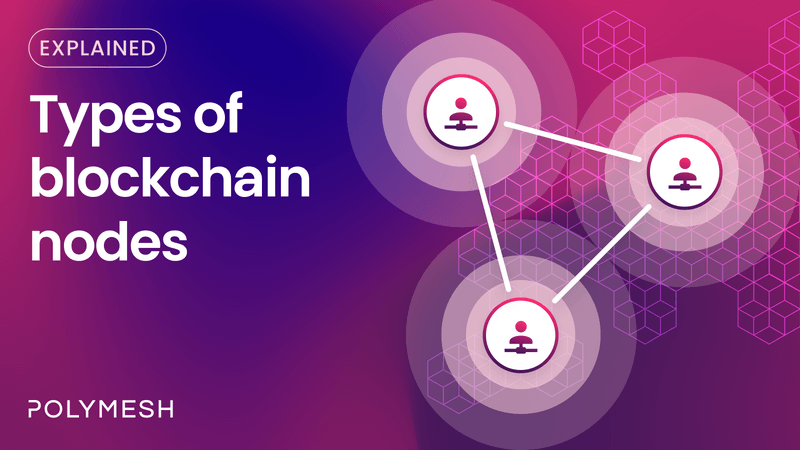 Types of blockchain nodes, explained