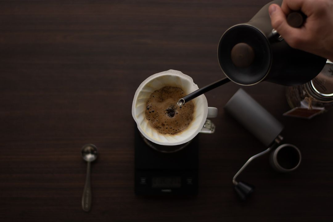 Specialty Coffee in Mexico - Hebron Coffee