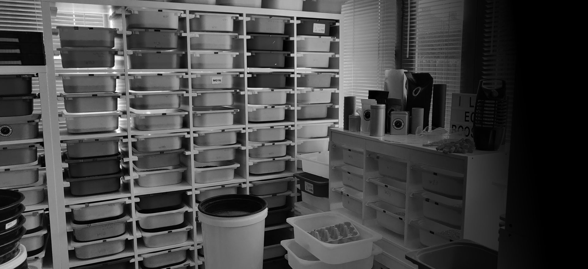 Low Cost Insect Farming Solution Kit