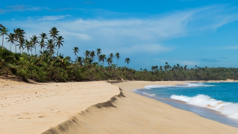 Van del Sol - Camper Vans for the adventure type - Puerto Rico