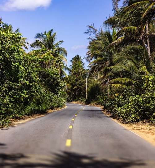 Van del Sol - Our Vans