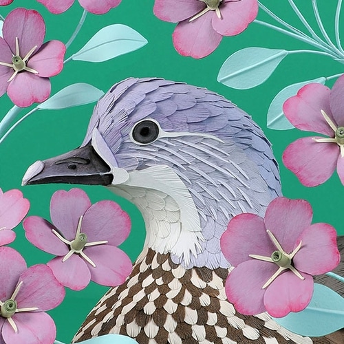 Diana Beltrán Herrera