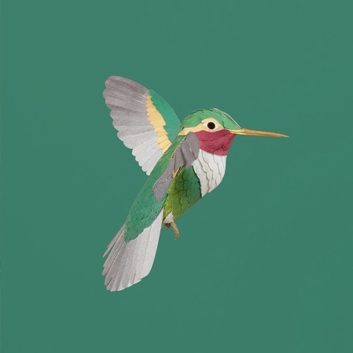 Diana Beltrán Herrera