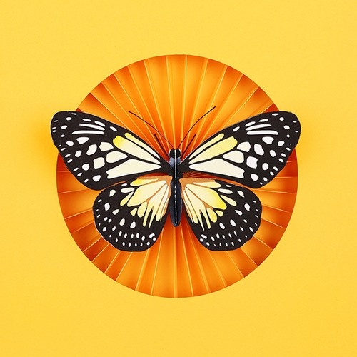 Diana Beltrán Herrera