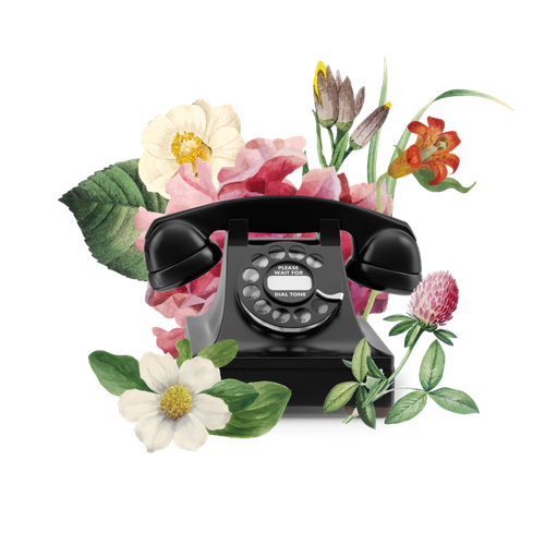 Collate Nails | Home