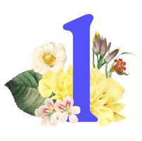 Collate Nails | Home