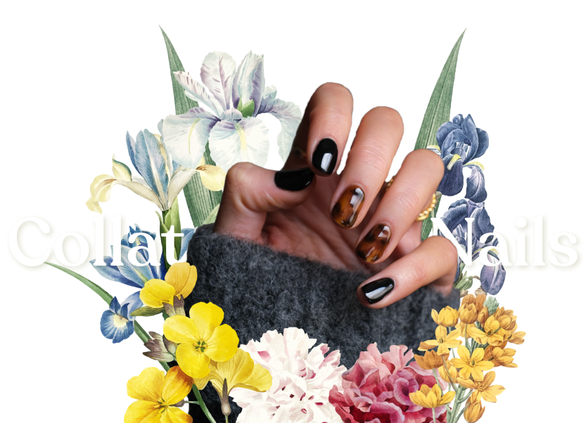 Collate Nails | Home